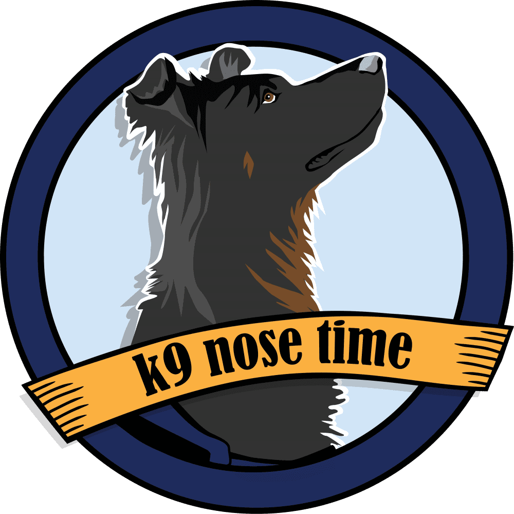 K9 Nose Time – Scent Detection for Fun!
