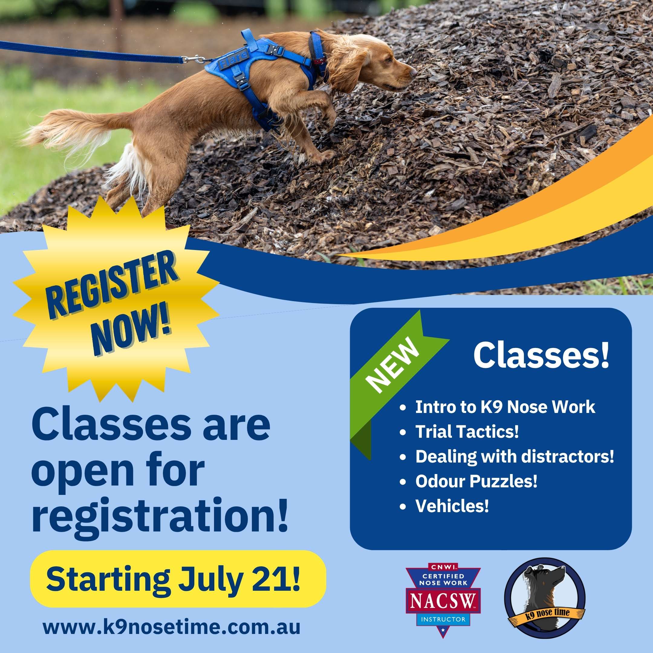 Courses – K9 Nose Time