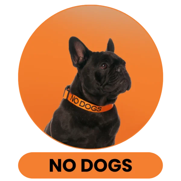 No Dogs Lead and Collar – K9 Nose Time